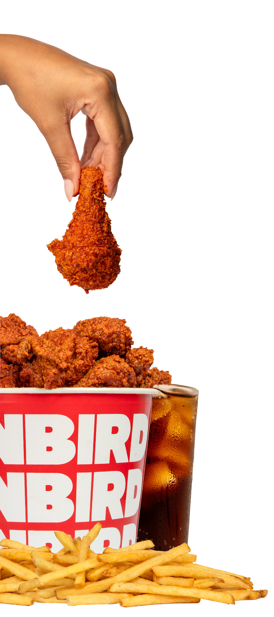 Pakistan Menu - Bonbird